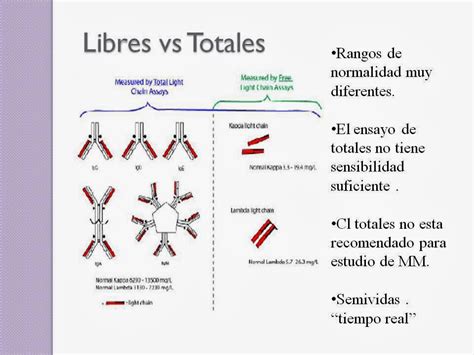 Caulelab Cadenas Ligeras Libres Kappa Y Lambda En Suero