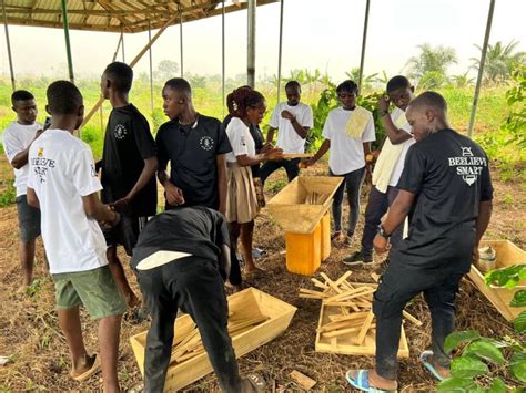 David Djangmah Tawiah On Linkedin Bees Collaboration Beekeeping Share Collaborate