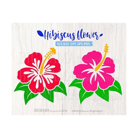 Hibiscus Svgdxfhibiscus Flower Svgtropicalcut Filehawai Inspire