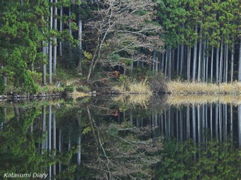 神秘的な水鏡の世界 龍王ヶ渕のリフレクションの景色 奈良県宇陀市 カタスミ日記