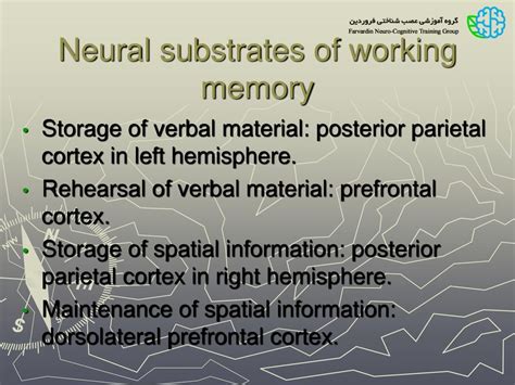 the neuroscience approach mind as brain ppt download