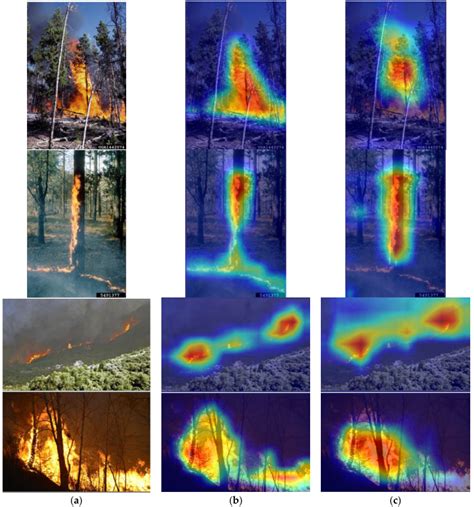 Mtl Ffdet基于多任务学习的森林火灾探测模型 Csdn博客