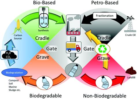 Biodegradable Polymers Examples