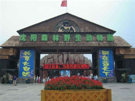 沈阳必去的十大景点 沈阳一日游必去的景点推荐 巴拉排行榜