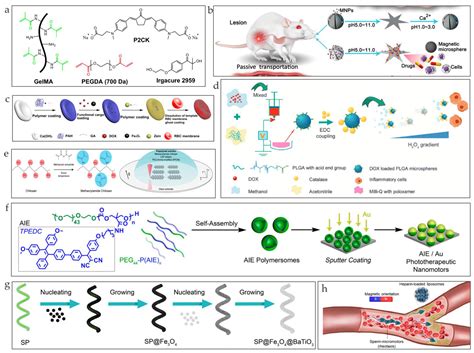 Nanomaterials Free Full Text Biodegradable Microrobots And Their