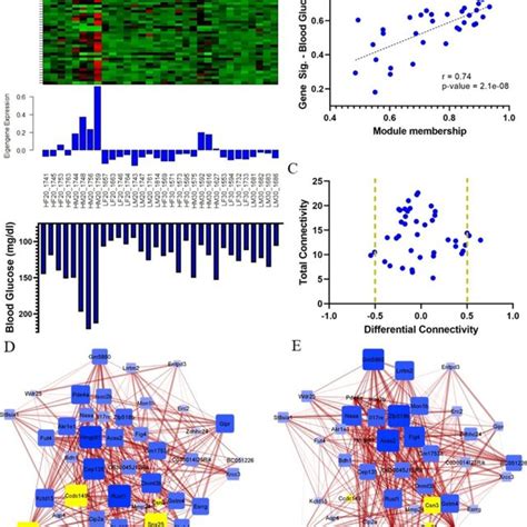 β Cell Subpopulations Have Unique Gene Expression Signatures A Heat