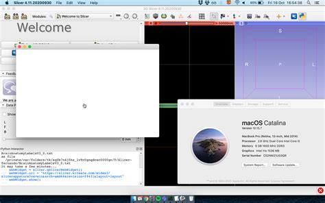 Colors Are Washed Out In Extensions Manager On MacOS Catalina Issue Slicer Slicer GitHub
