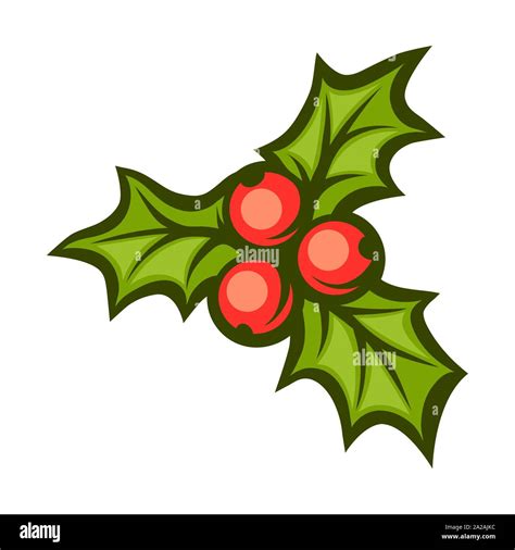 Illustration Of Holly Stock Vector Images Alamy