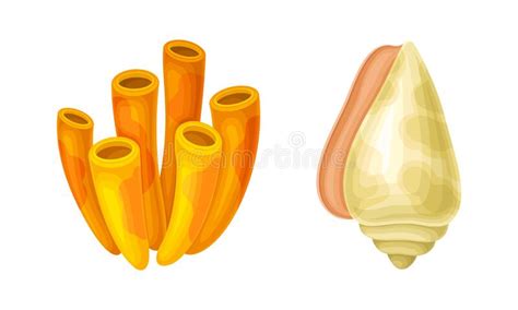 Seashell As Hard Marine Snail Shell And Coral Vector Set Stock Vector