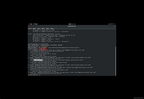 Linux中启动网卡时报错：“错误：连接激活失败：ip 配置无法保留（无可用地址、超时等）”的解决办法；用xshell5如何连接虚拟机？错误