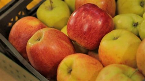 Ekaterina Fomicheva On Linkedin Whats The Secret To Living Longer The Blue Zones Project