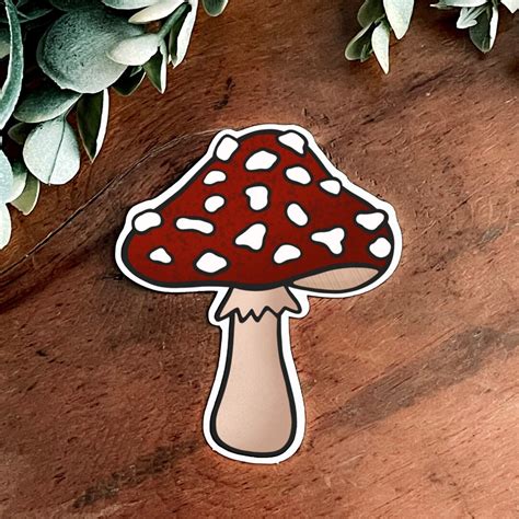Mushroom Sticker Cottage Core Sticker Trippy Sticker Mush Laptop Sticker Car Decal Sticker