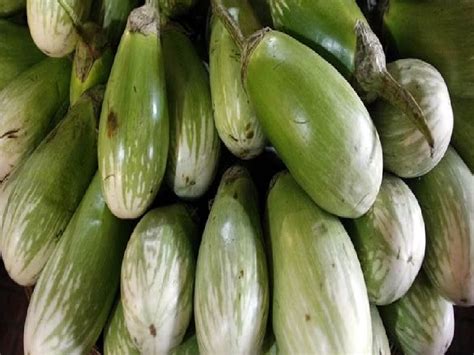 As The Arrival Of Brinjal Doubled The Price Fell By Rs 20 Per Kg