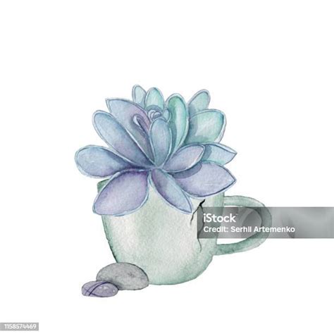 냄비에 다육 식물이있는 수채화 손으로 그린 그림 직물 엽서 결혼식 또는 인사말 카드 책 포스터 티셔츠 배너 엠블럼 로고에 대한