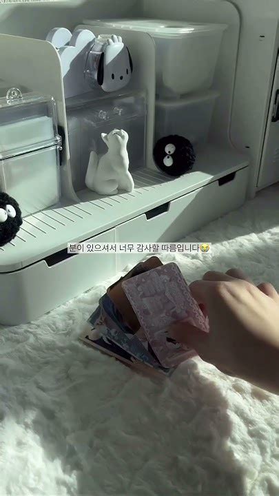 설링님과 함께 콜라보 영상🩷 시야 Youtube