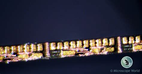 Microscope World Blog Microscope Magnification Versus Resolution