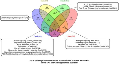 Transcriptomic Analysis Reveals Sex Specific Patterns In The Hippocampus In Alzheimers Disease