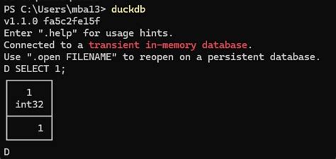 1 分钟安装 DuckDB 腾讯云开发者社区 腾讯云