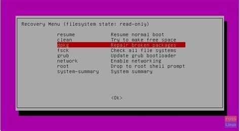 How To Use Ubuntu Grub Bootloader Recovery To Fix System Issues