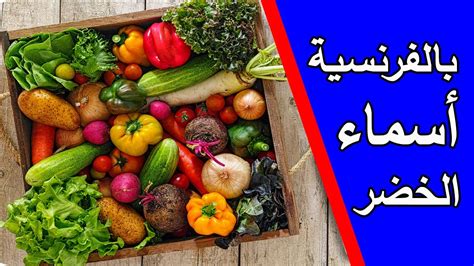 Vegetables In Frensh اسماء الخضر بالفرنسية Youtube