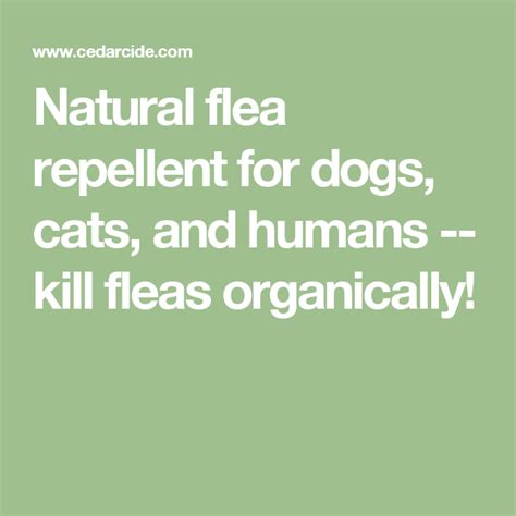 Repel And Control Fleas Naturally For People And Pets Cedarcide