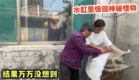 【山西醋妮】水缸里惊现神秘“怪物”，小伙打开一探究竟，结果万万没想到粉丝数273892作品数1748 搞笑视频 免费在线观看 爱奇艺