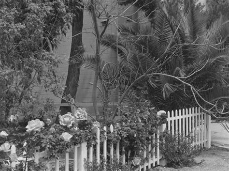 Gregory Conniff Common Ground Exhibitions Joseph Bellows Gallery