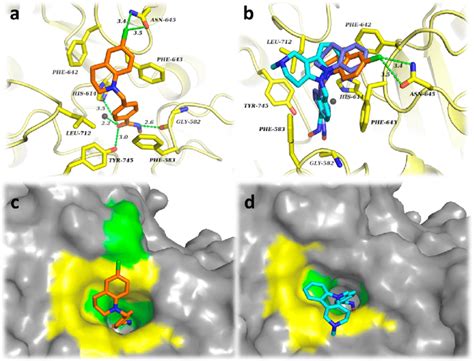 A Binding Interactions Of Sw 100 Orange Within The Hdac6 Cd2 B