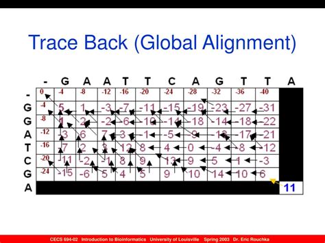 ppt lecture 2 pairwise sequence alignment eric c rouchka d sc