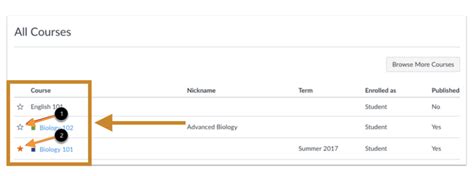 Customize Your Babe Dashboard In Canvas
