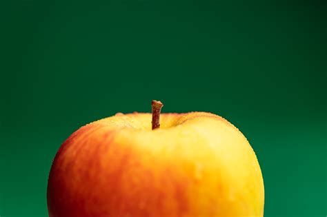 사과 물방울 초록 Pixabay의 무료 사진 Pixabay