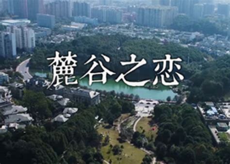 麓谷科创园十二时辰图鉴 带你领略科创园十二时辰之美 高新麓谷 长沙晚报网