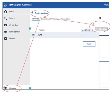 Ibm Cognos Icon