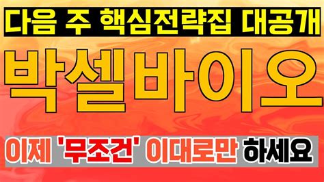 주식 박셀바이오 박셀바이오 주가전망 목표가와 높은 수익률의 비결 알아보자 Youtube
