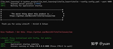Litellm：简化大模型 Api 调用的工具，统一接口访问 100 Llms 知乎