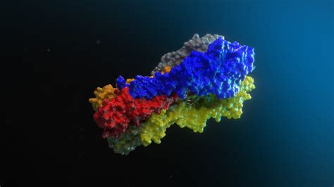 Openfold2 Model By Openfold Nvidia Nim