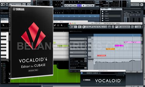 Hatsune Miku Software Crackscoop