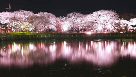 PARKFULが大村市と情報連携をスタート公園専門メディアPARKFUL
