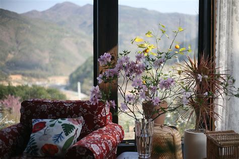 산의 품에 안겨 살다 비나리에서 가꾸는 나의 삶 나의 정원 숲과 나무에 대한 이야기 매거진