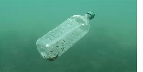 Microorganisms Digesting Plastic At Low Temperatures Discovered In The