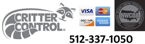 Austin Wildlife Control Company Tx Wildlife Trappers