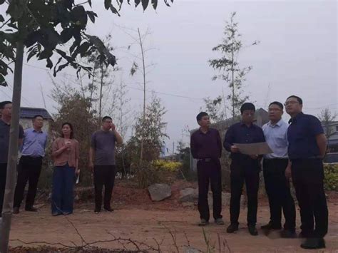 河南省审计厅财政处调研辉县市财政审计工作市审计局