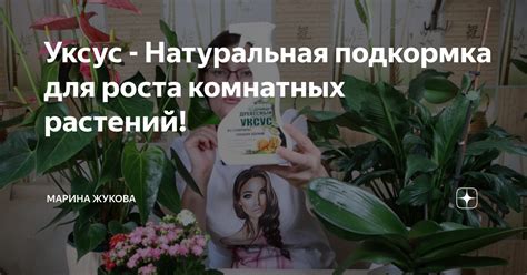 Уксус - Натуральная подкормка для роста комнатных растений! | Марина ...