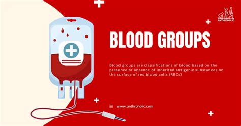 Blood Groups Anthroholic