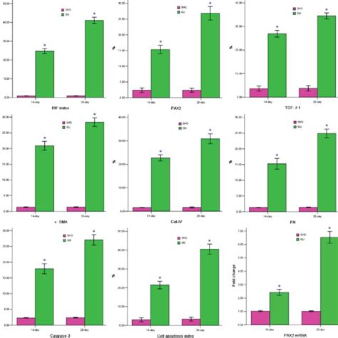Statistical Parameters In Two Groups Notes P