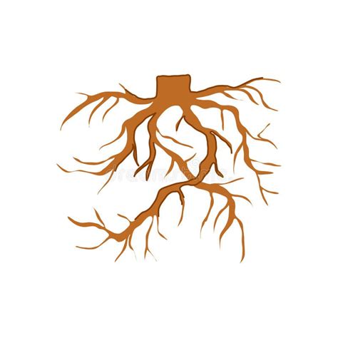 Trunk Tree Root Cartoon Vector Illustration Stock Vector Illustration