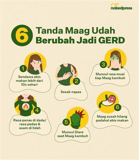 Gerd Gejala Penyebab Dan Cara Mengatasinya Nakedpress