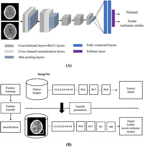 Illustration Of The Basic Dcnn For Acute Ischemic Stroke Image Download Scientific Diagram