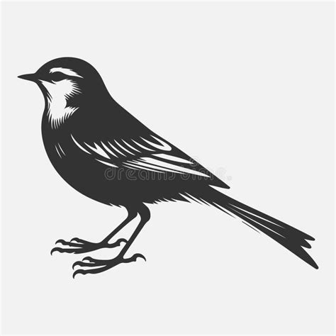 Silueta De Cola De Wagtail Cautivadora Ilustración del Vector