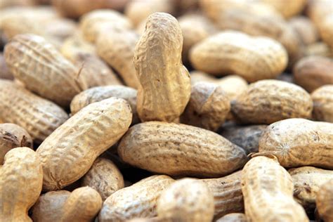 About Face On Preventing Peanut Allergies Wsj